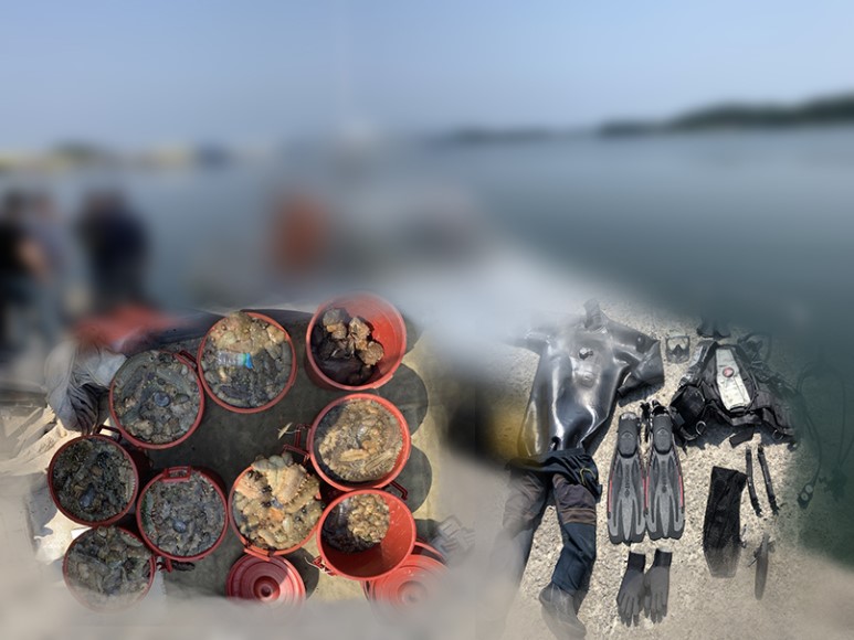 태안해양경찰서